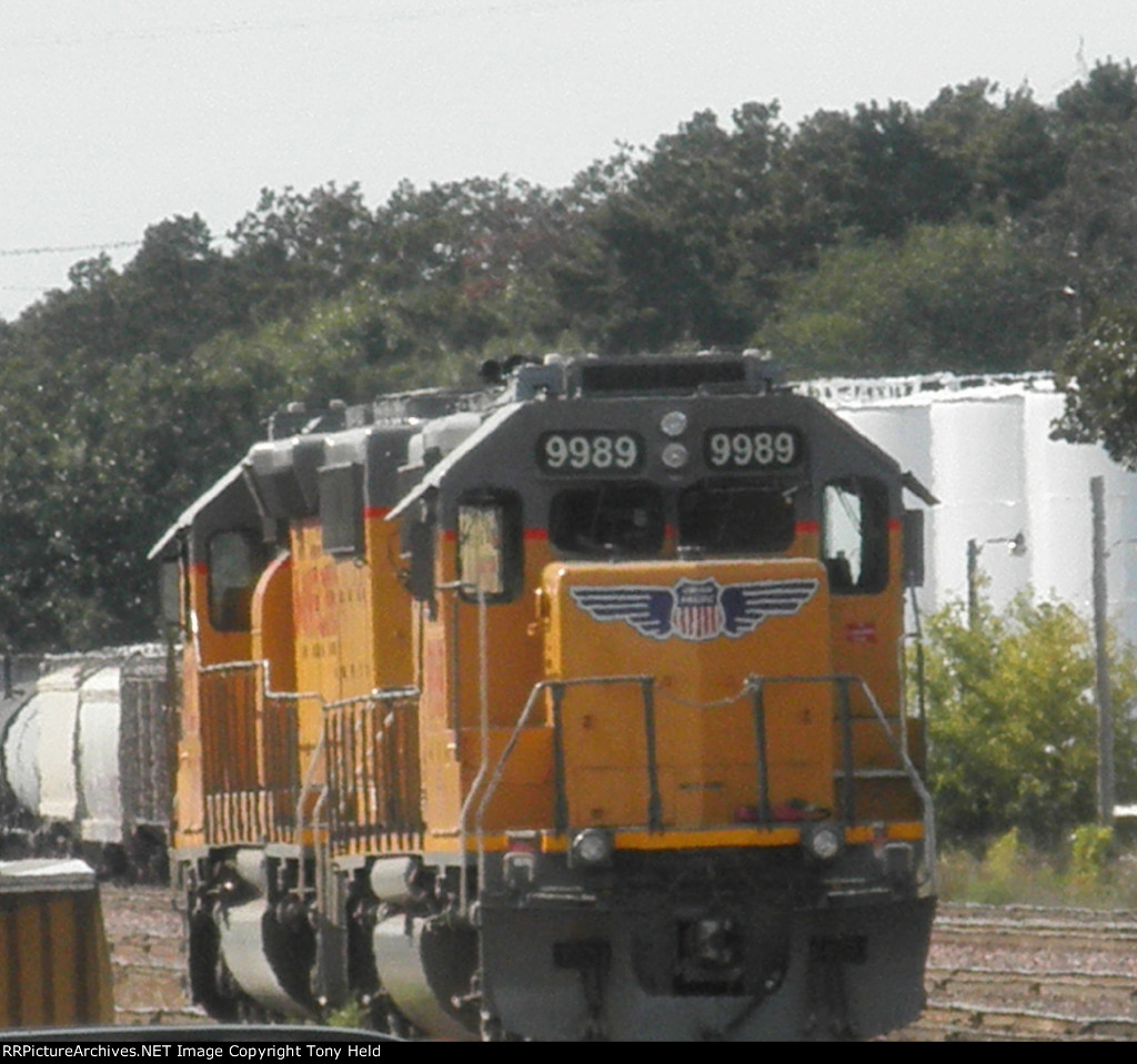 Yard Goats In Repose